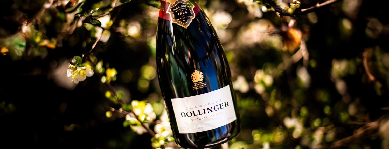 Champagne - The History and How it's made – Gerrard Seel