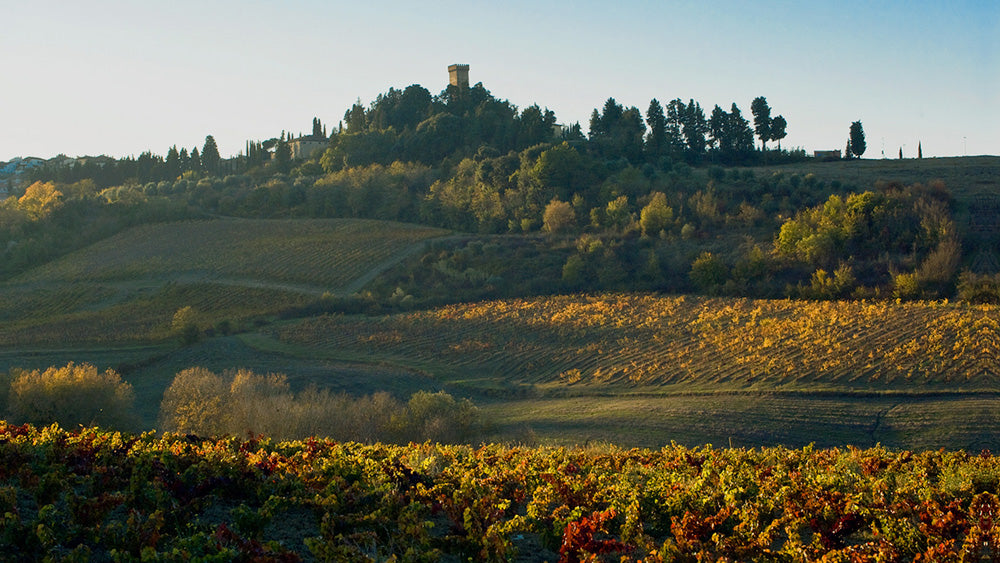 Castello Sonnino – Gerrard Seel