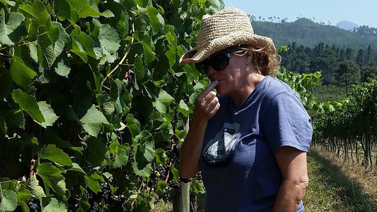 South African, Australian & New Zealand Growers – Gerrard Seel